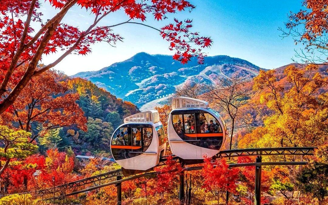 Koreal Trip - Find Real Korea, See more. Pay less. - korealtrip