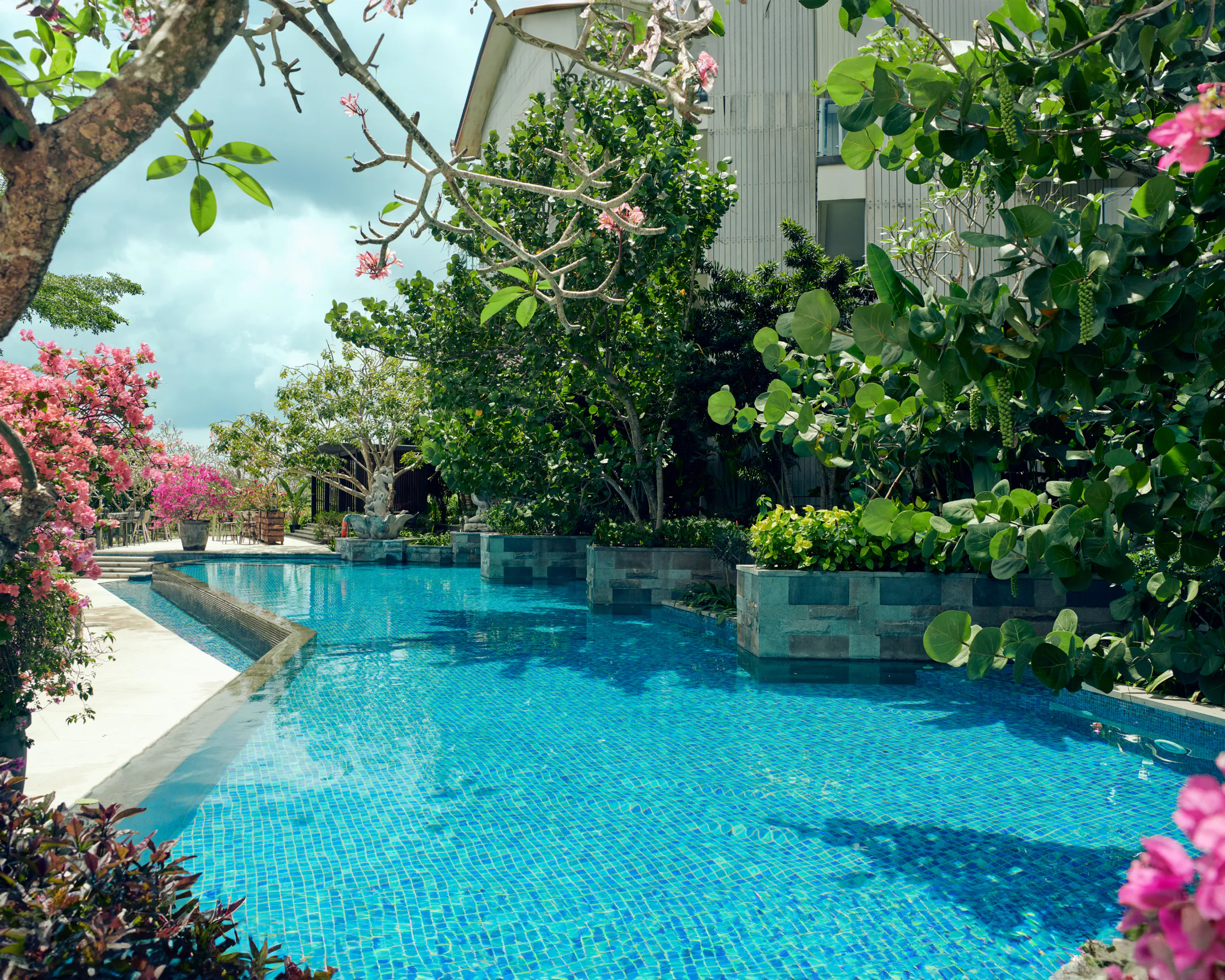 Experience | 엔조이 아야나